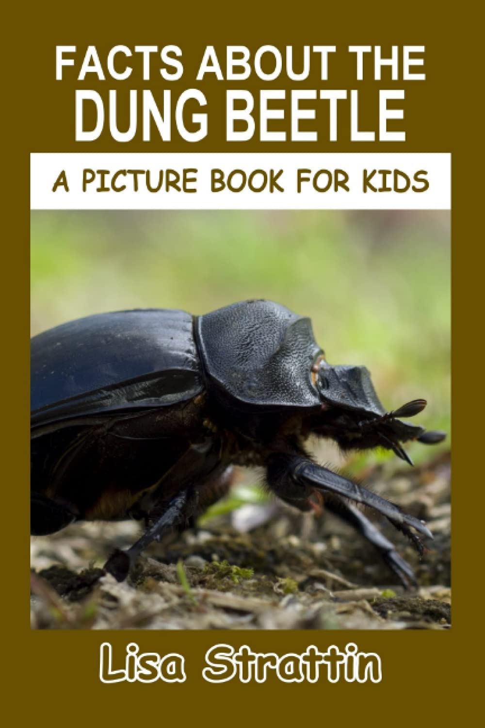 Amazon.com: Facts About the Dung Beetle (A Picture Book For Kids ...