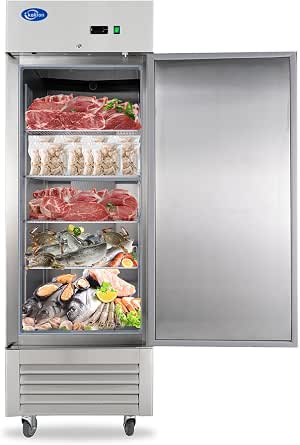 Amazon.com: kalifon 27" Reach-in Commercial Freezer with 2 Solid Door ...