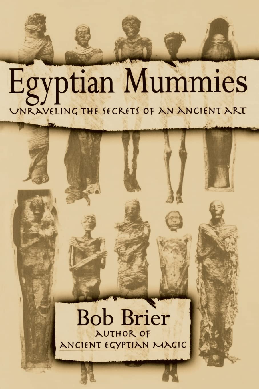 Amazon.com: Egyptian Mummies: Unraveling the Secrets of an Ancient Art ...