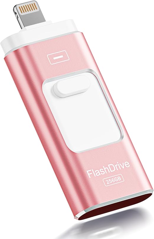 Amazon.com: Apple MFi Certified 256GB Flash Drive for iPhone Thumb ...