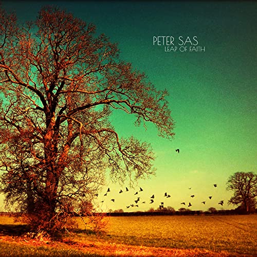 Amazon MusicでPeter SasのLeap of Faithを再生する