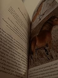 Wilding: The return of nature to a British farm: Amazon.co.uk: Tree, Isabella: 9781509805099: Books