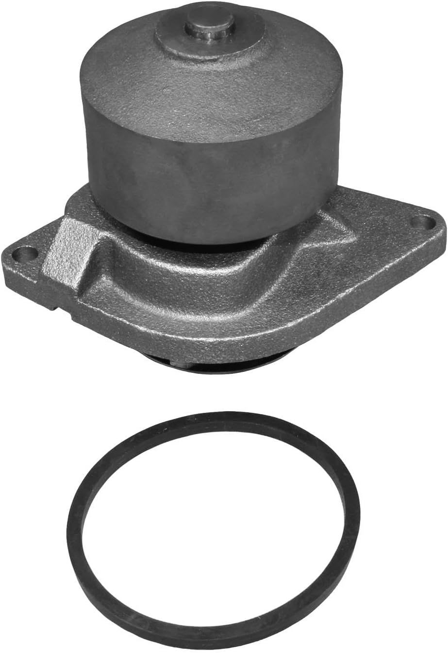Amazon.com: ACDelco Professional 252-318 Water Pump Kit : Automotive