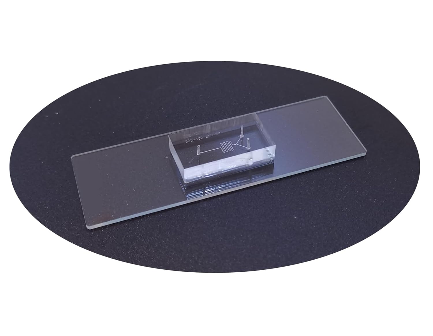 Microfluidics BioChip C01-200 C02-200 | PDMS Microfluidic Chip LNP ...