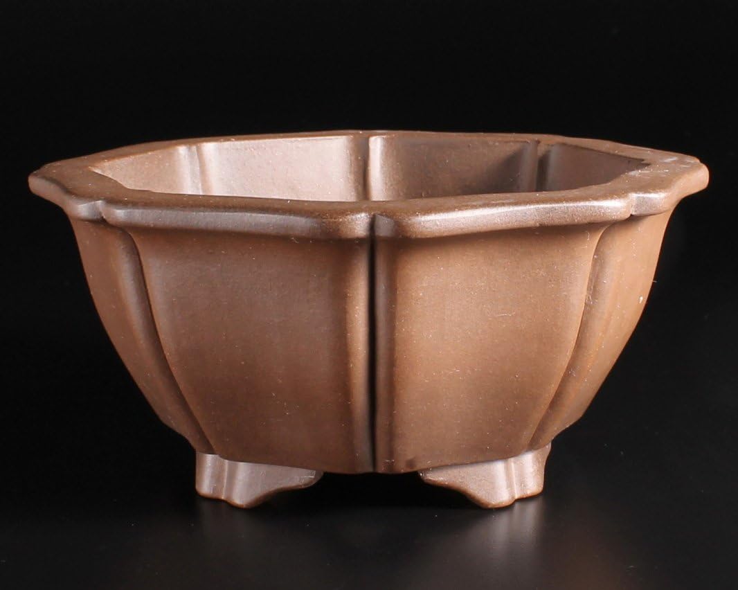 Amazon.com: Bonsai Vision MASTERLINE SHOHIN UNGLAZED Collection ...