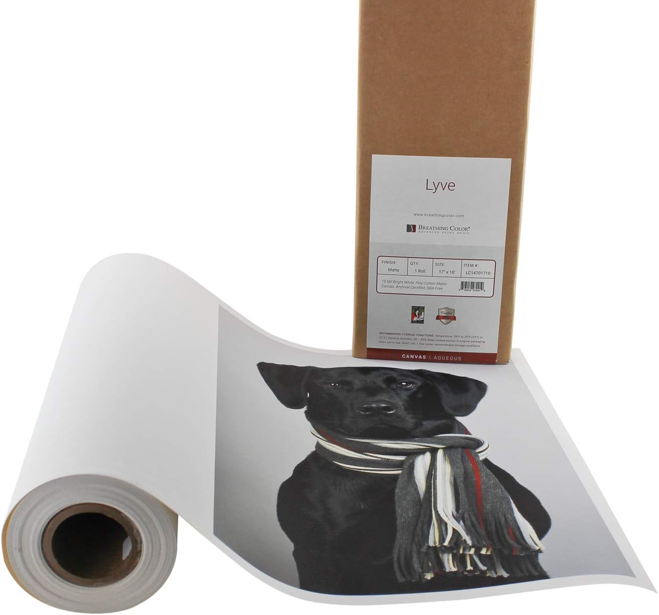 Amazon.com : Premium Lyve Matte Canvas Paper Perfect For Use on ...