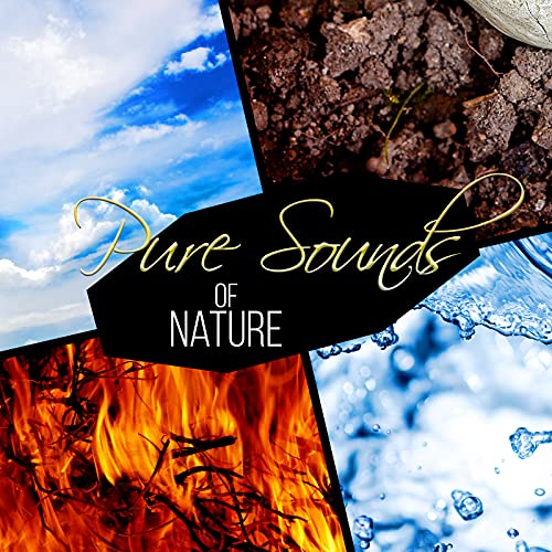 Amazon.com: Pure Sounds of Nature – Relaxing Sounds Ocean Waves, Birds ...