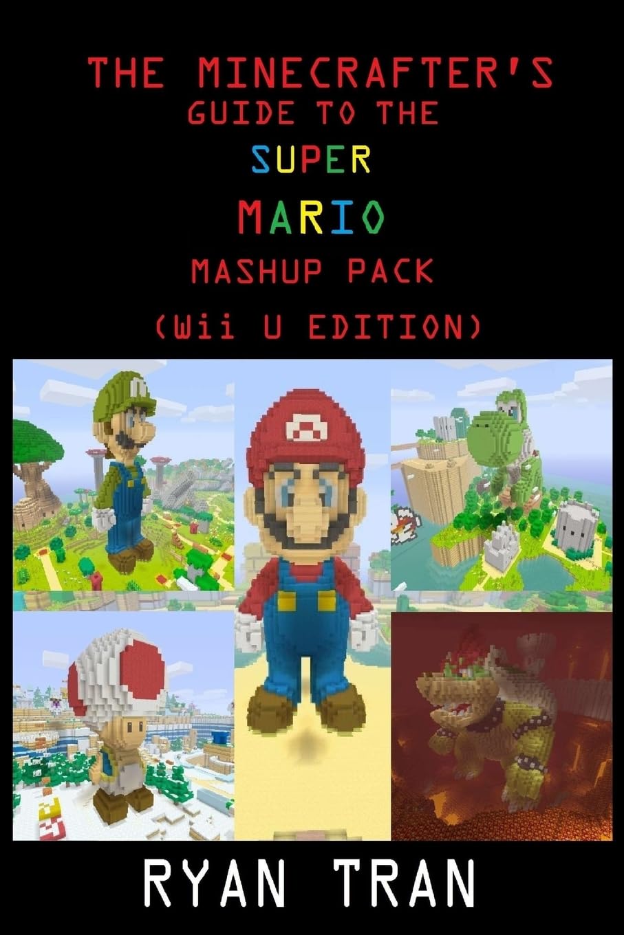 The Minecrafter's Guide to the Super Mario Mashup Pack (Wii U Edition ...