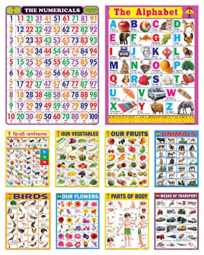 Buy Tini Educational Laminated Kids Learning Wall Charts (Pack of 10 ...