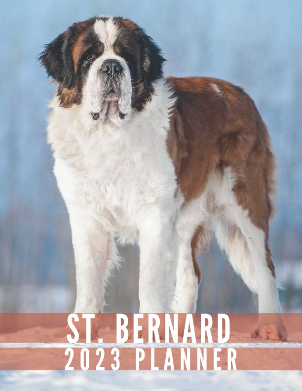 Buy St Bernard 2023 Planner: Saint Bernard Monthly Weekly Daily Planner ...