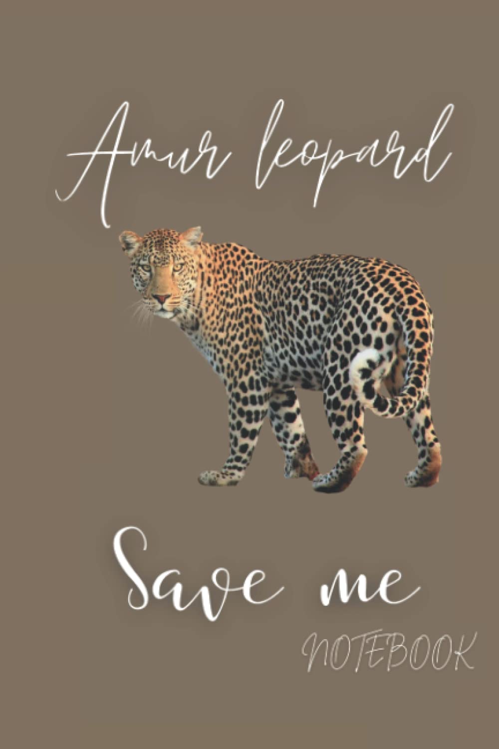 Buy Amur leopard Save: Critically Endangered animals, Panthera pardus ...