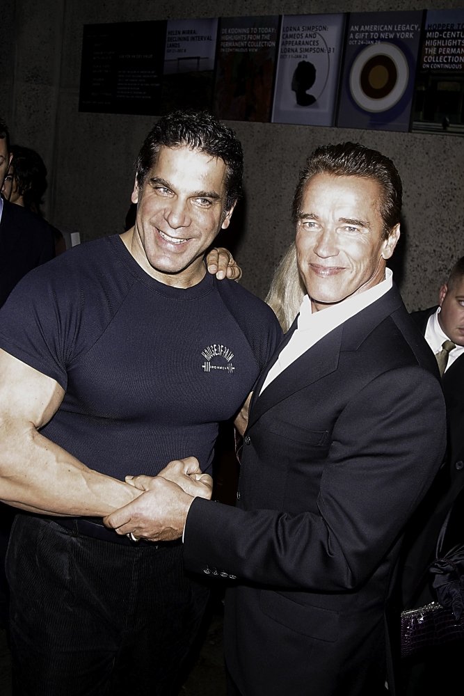 Arnold Schwarzenegger Vs Lou Ferrigno Stats