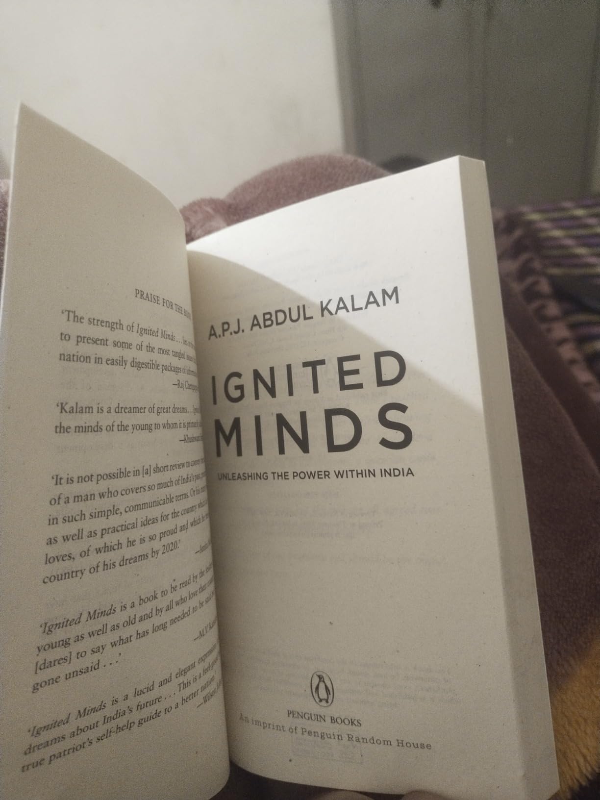 Ignited Minds: Unleashing the Power within India eBook : Kalam, A P J ...