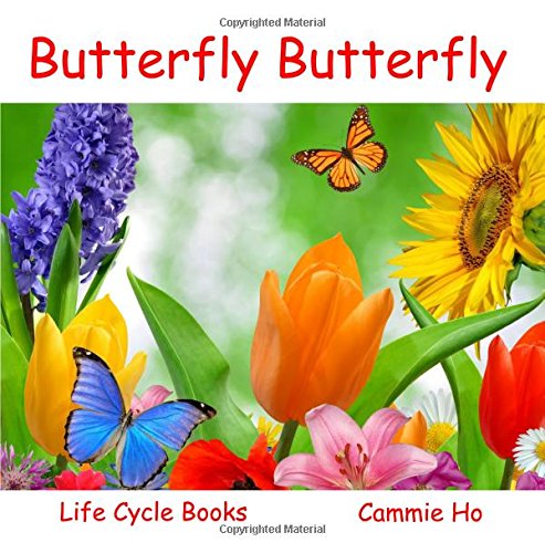 Butterfly Butterfly (Life Cycle Books): Ho, Cammie: 9781943241033 ...