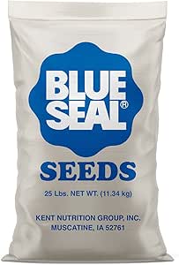 Amazon.com : Blue Seal Evergreen Grass Seed - Complete Sun and Shade ...