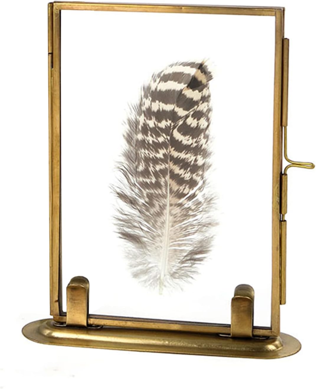 Amazon.com - Creative Co-Op Glass & Brass Photo Frames with Stands (Set ...