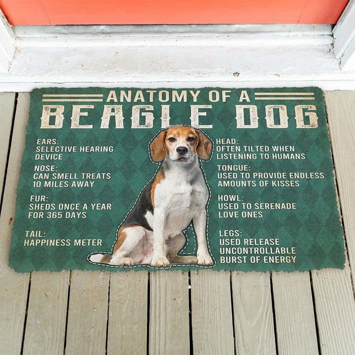 Amazon.com: Anatomy Of A Beagle Doormat, Beagle Dog Lovers House ...