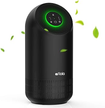 Amazon.com: Air Purifier For Home Up to 880 Ft²|H13 True Hepa Filter ...