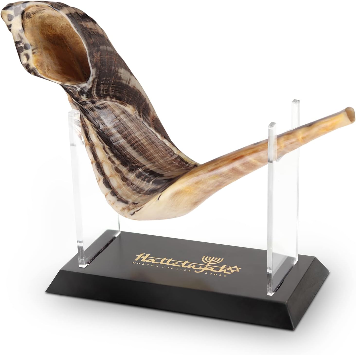 Amazon.com: Authentic Ram Horn Shofar 16"-18" From Israel Includes Wood ...