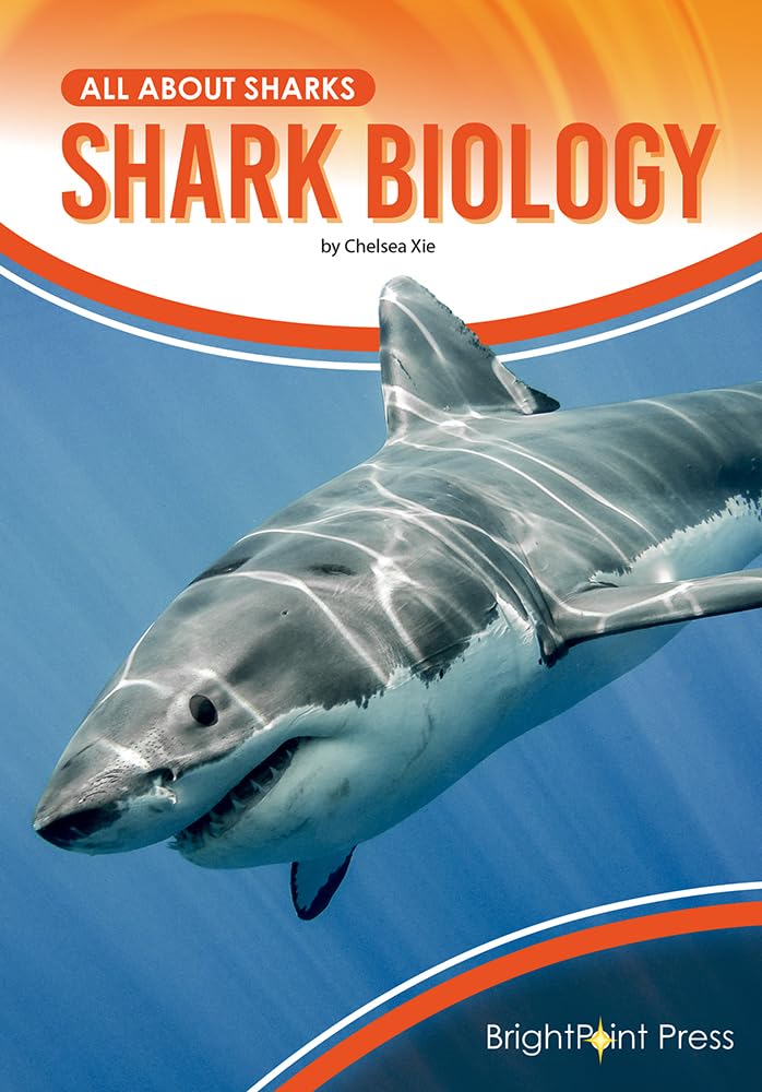 Amazon.com: Shark Biology (All About Sharks): 9781678203702: Xie ...