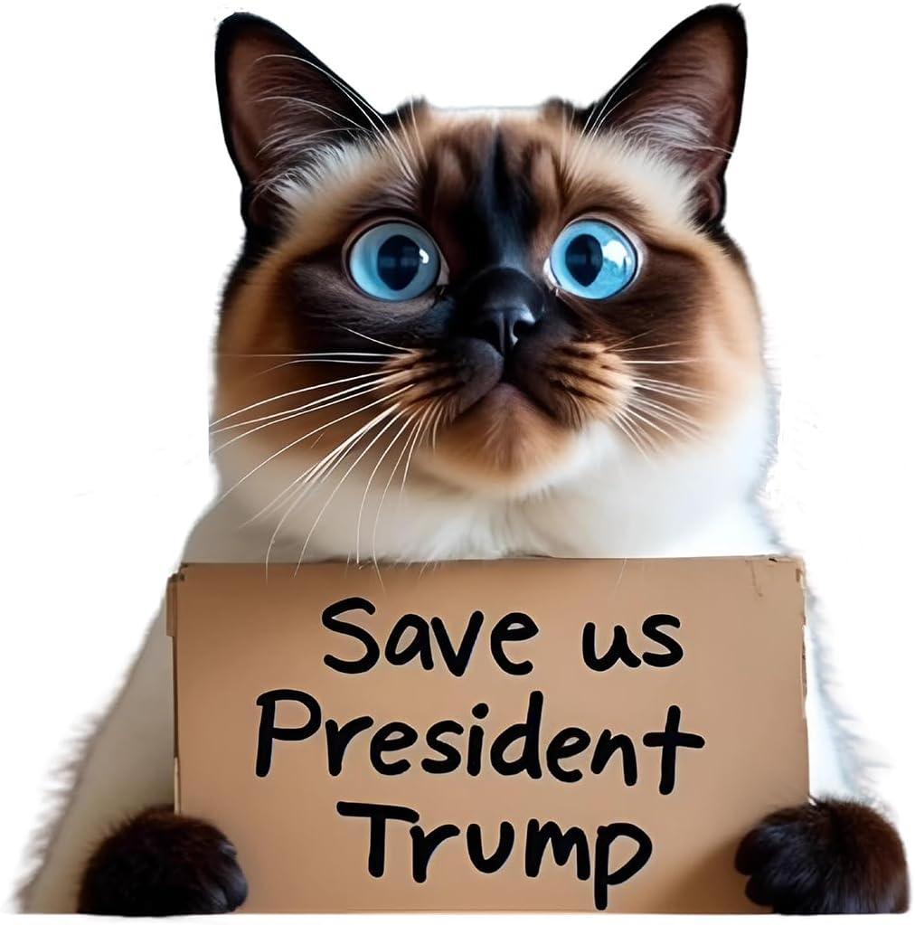 Amazon.com: Generic Cats for Trump Sticker: Red, White, Blue, Vinyl ...