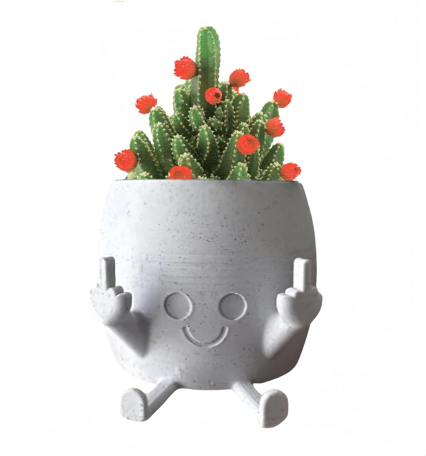Amazon.com : Generic Smiling Plant Pot with Middle Fingers Up|Flower ...
