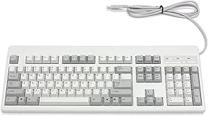 Topre Realforce 104u USB Keyboard English Layout White Xf01t0 ...