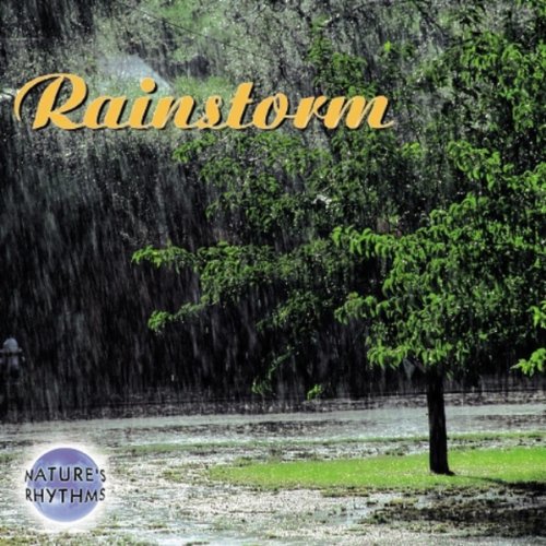 Nature's Rhythms: Rainstorm: Various: Amazon.in: Music}