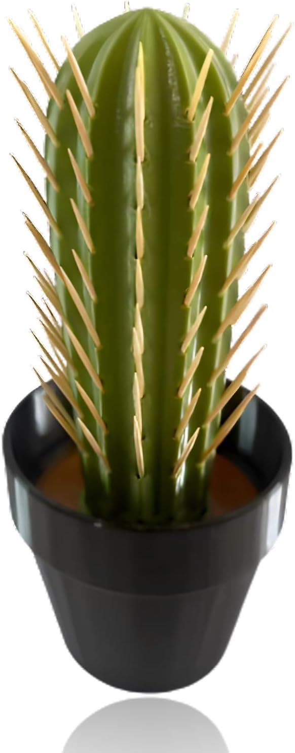 Amazon.com: Xanadued Cactus Toothpick Holder, 3D Printed Cactus ...