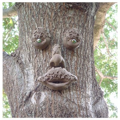 Amazon.com : Genuine Tree Peeple Mr. Mapleshade Tree Face : Tree Plants ...
