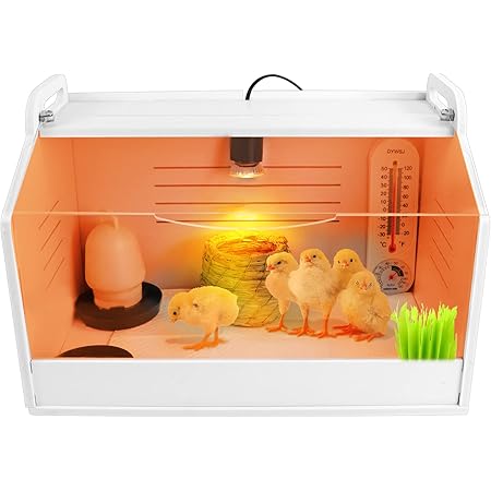 Amazon.com: Proshine Chicken Brooder Box for Chicks, Quail Brooder with ...