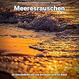 【発売日：2023年05月13日】・製造元:Riffe und Rinnen
