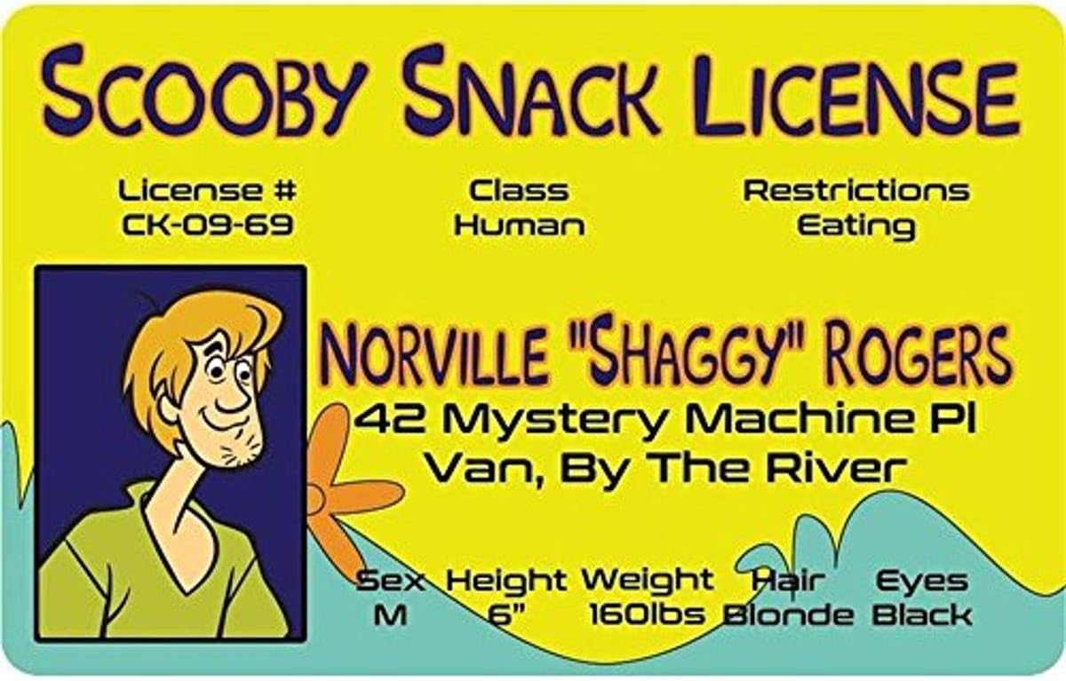 Amazon.com: Homer Simpson Driver License ID/Funny Plastic License ...