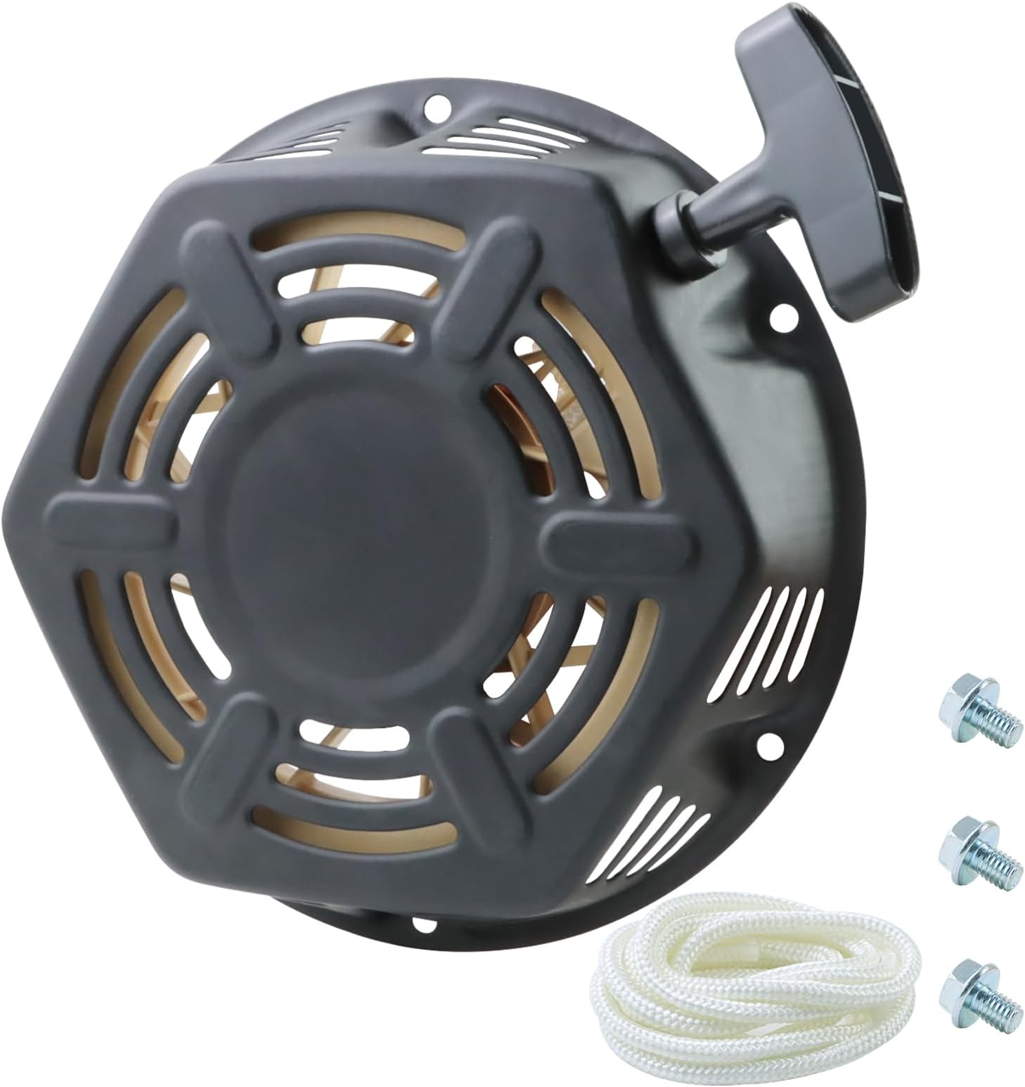 Amazon.com : Lumix GC Recoil Pull Start Assembly for Champion Power ...