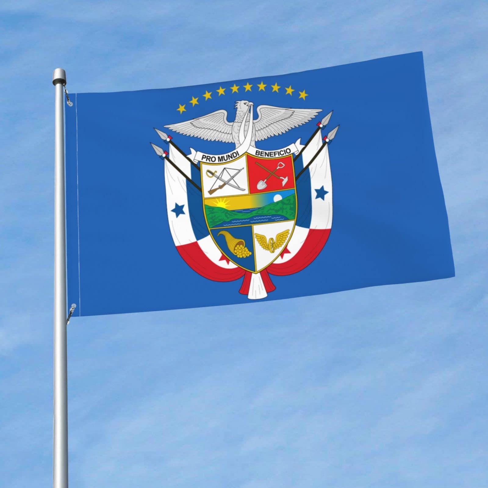 National Panamanian Flag