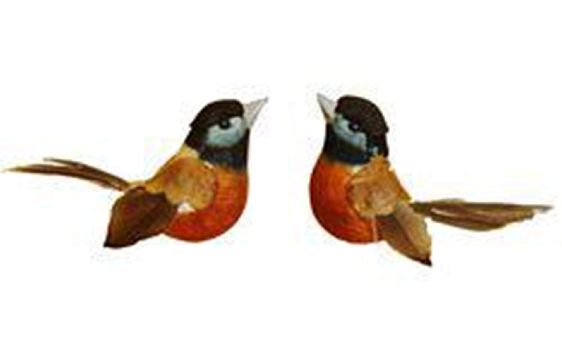 Amazon.com: Touch of Nature Miniature Robins - 1" Micro Robin Birds ...