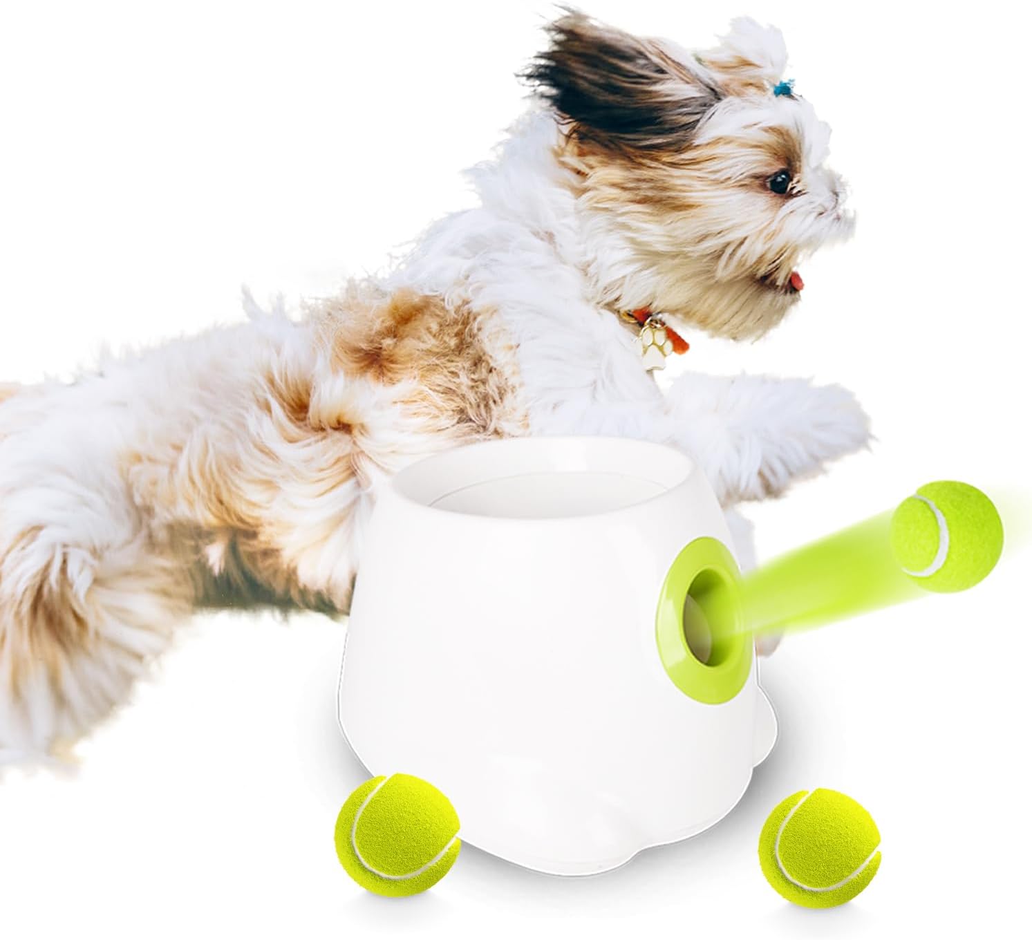 Amazon.com: iFetch Automatic Dog Ball Launcher Bundle for Small to ...