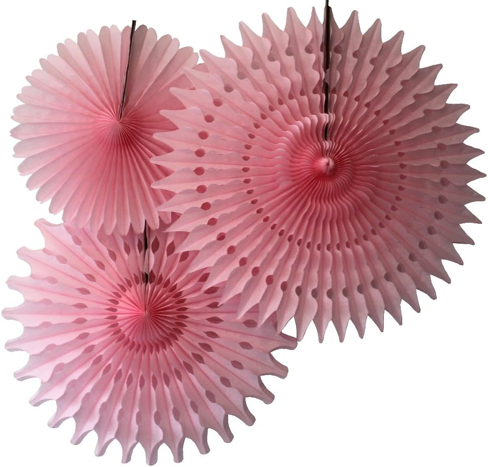 Amazon.com: Set of 3 Honeycomb Tissue Fans, Gray (13-21 Inch) : Home ...