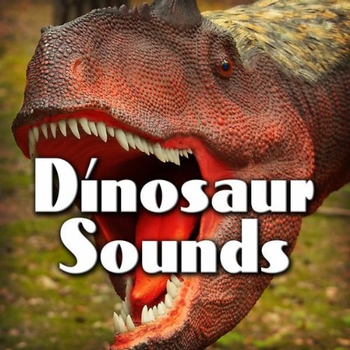 Say Goodbye to Annoying Noises with the Top 10 Squawk Sound Eliminating ...