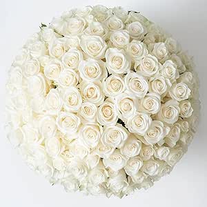 Amazon.com : GlobalRose Fresh Cut White Roses - 1000 (40 Bundles of 25 ...