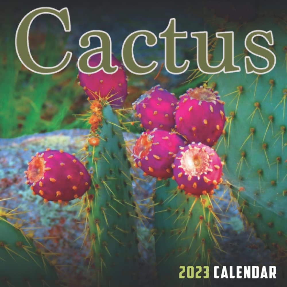 Buy Cactus 2023 Kalendar Io Calendrier 2023 12 Month Keep You On Buy Cactus 2023 Kalendar Io Calendrier 2023 12 Month Keep You On