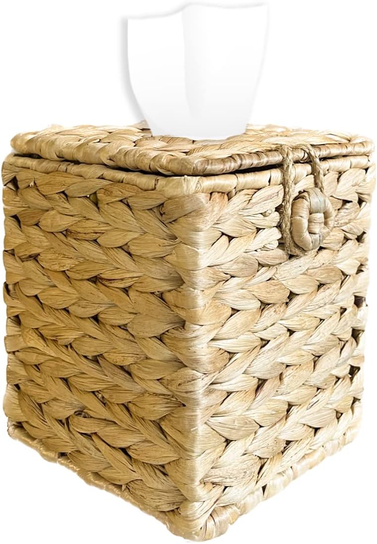 Amazon.com: Decocoon Water Hyacinth Toilet Paper Holder, Wicker Tissue ...
