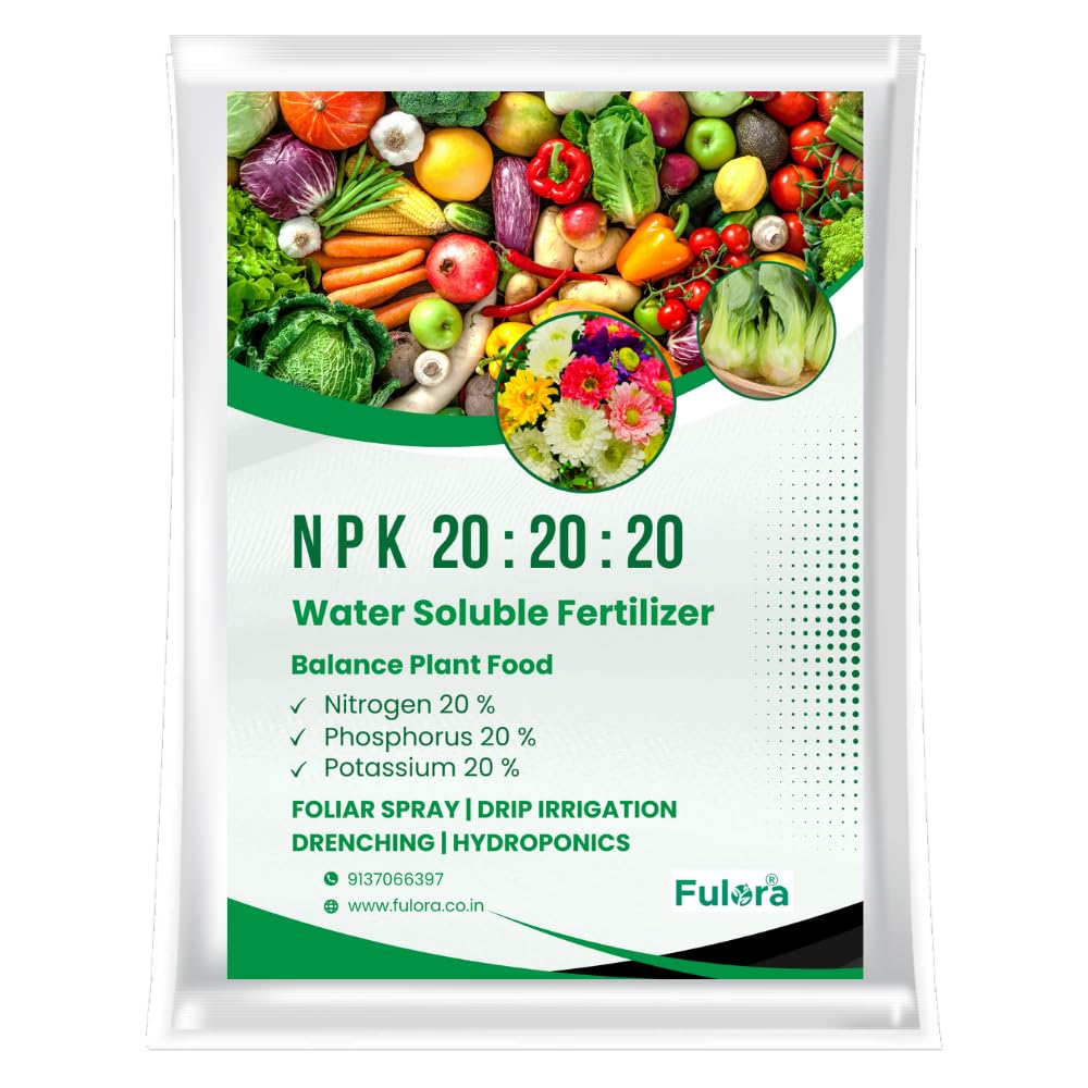 Fulora NPK 20 20 20 Water Soluble Fertilizer (400 gm) Complete Plant ...