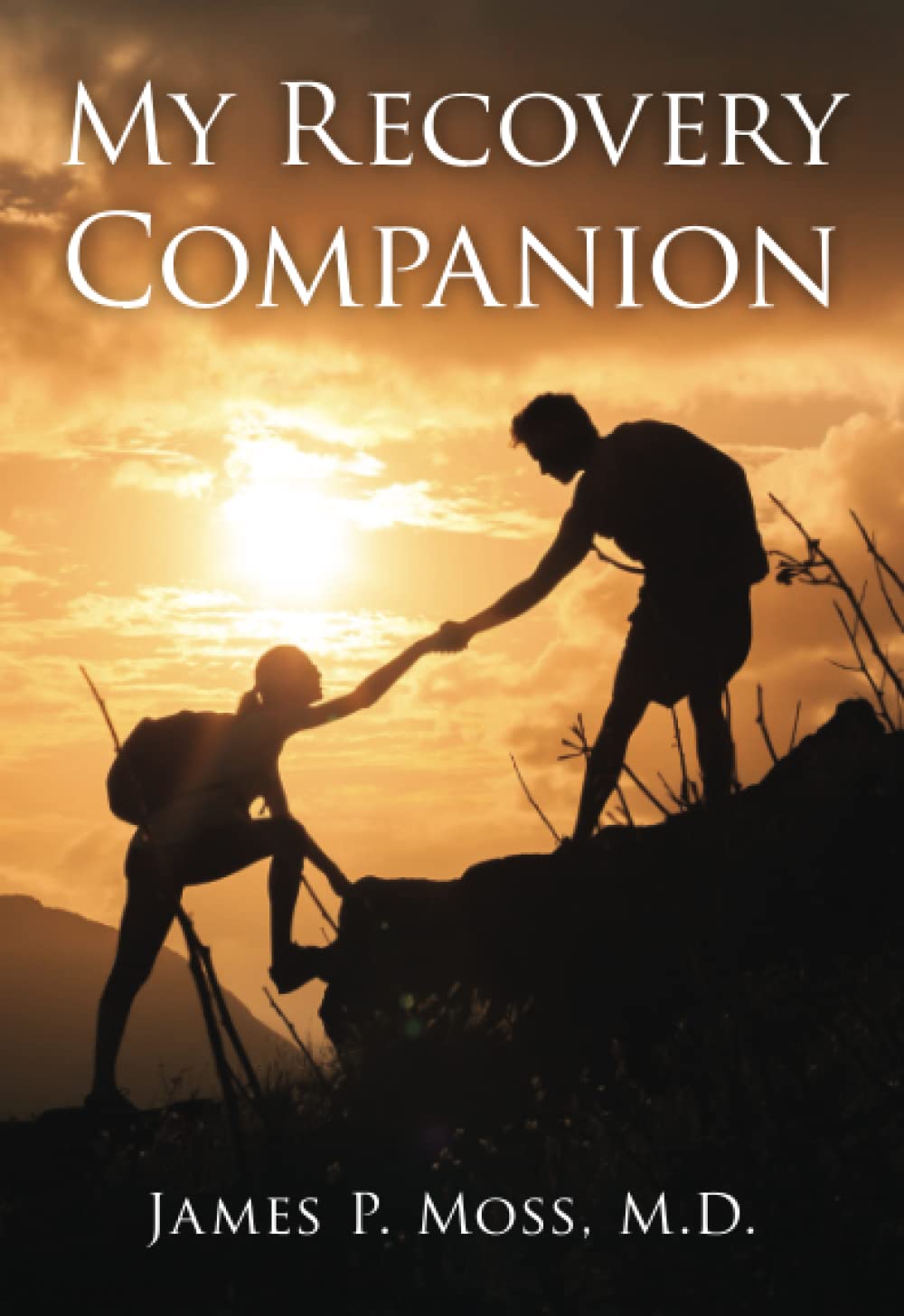 My Recovery Companion: Moss M.D., James P.: 9781953058645: Amazon.com ...