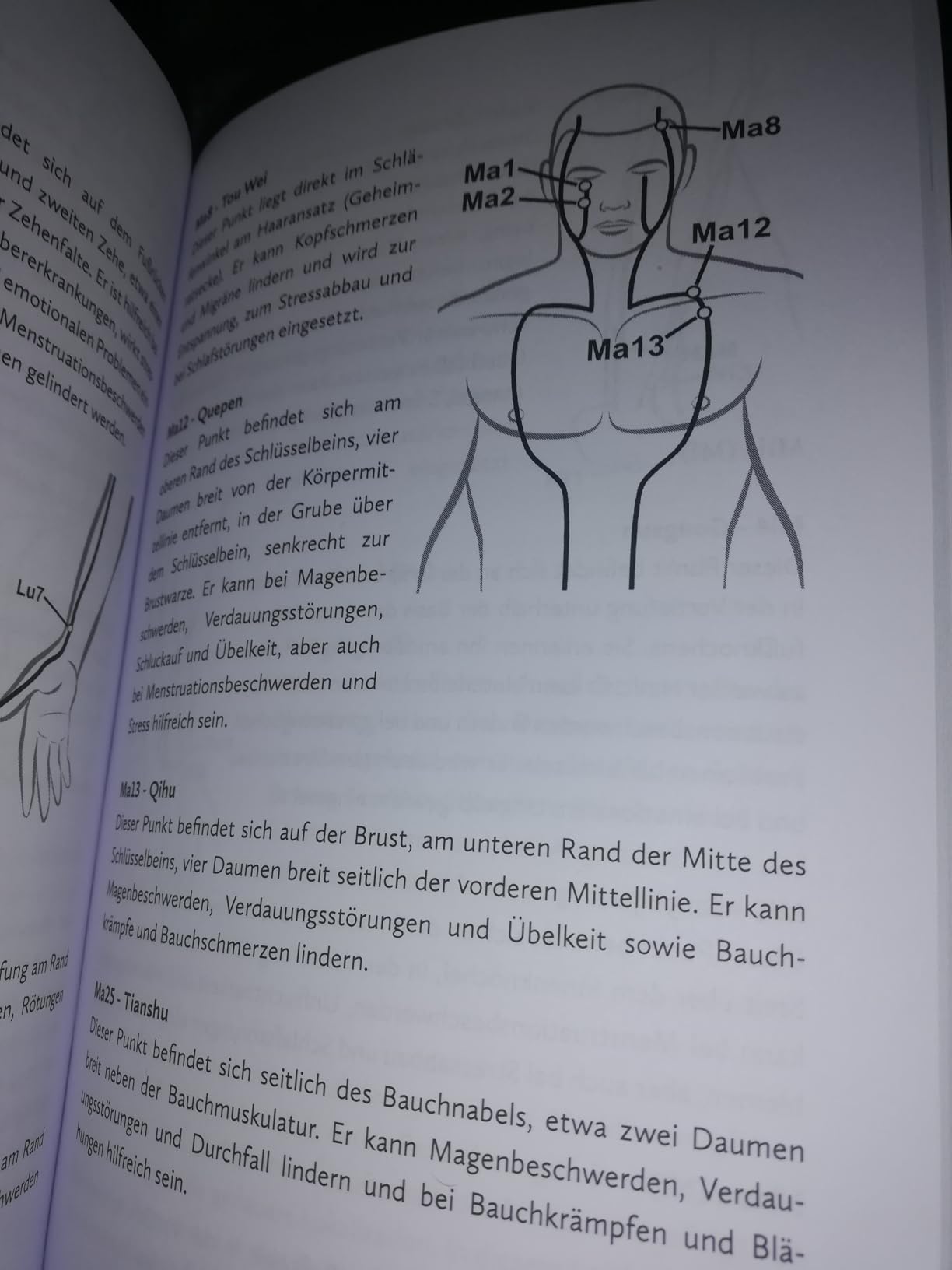 Das Handbuch der Akupressur-Punkte: Die 55 wirksamsten Punkte zur ...
