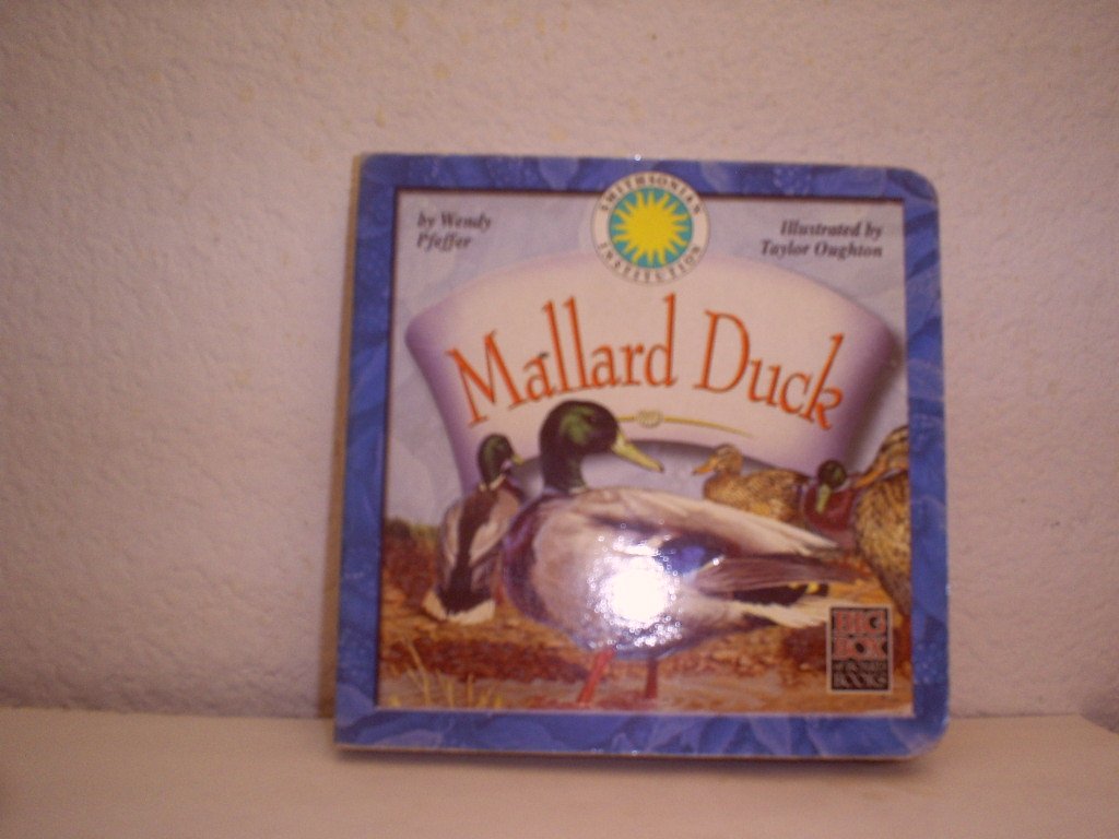Mallard Duck (Big Box of board books): Wendy Pfeffer, Taylor Oughton ...