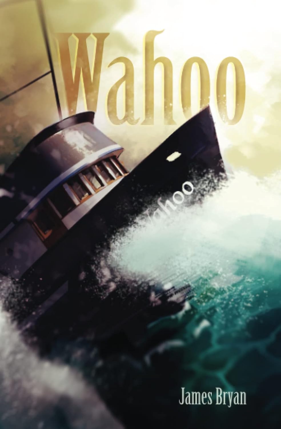 Wahoo: Bryan, James: 9780578341415: Amazon.com: Books