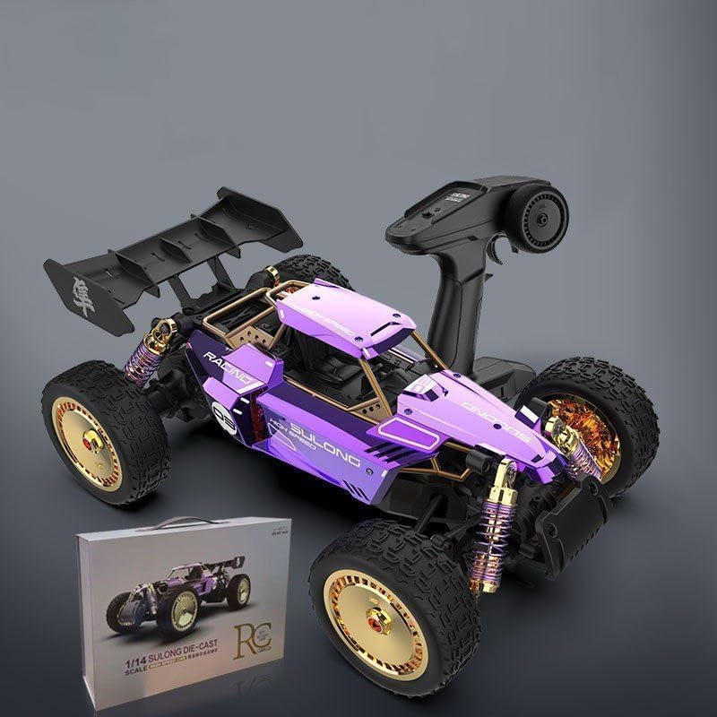 SULONG 1:14 Die-Cast High Speed RC Buggy – 25Km/h Fast Off-Road Racing ...