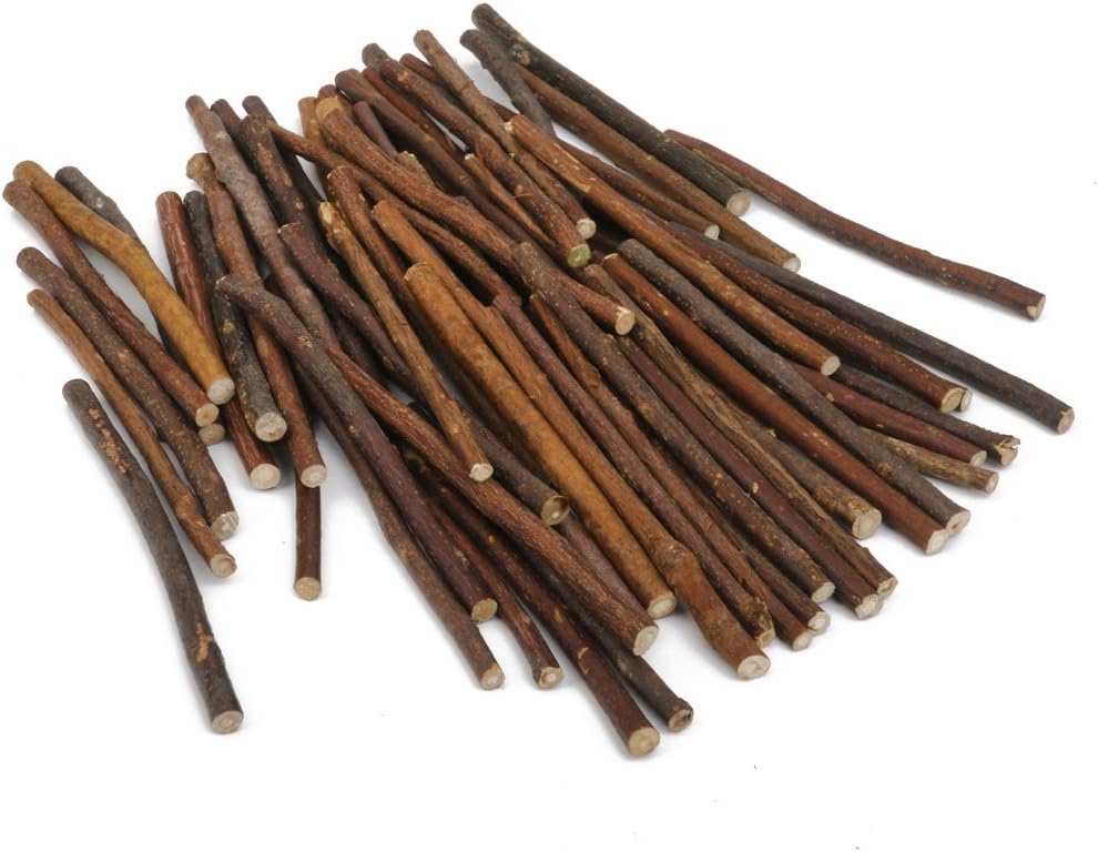 Amazon.com: HANBEN 100/200pcs 5 Inch Long 0.1-0.2 Inch in Diameter Wood ...