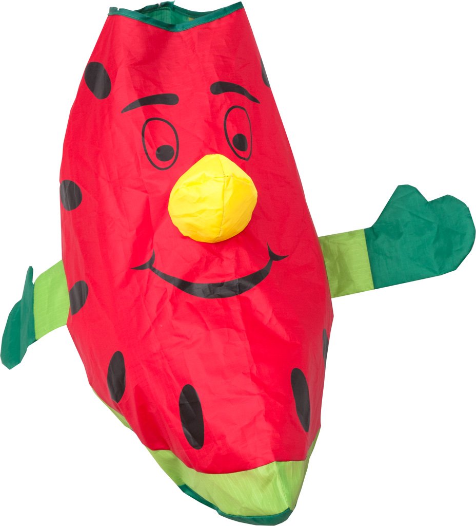 HQ Kites Flying Fruit - Melly Melon : Amazon.in: Toys & Games